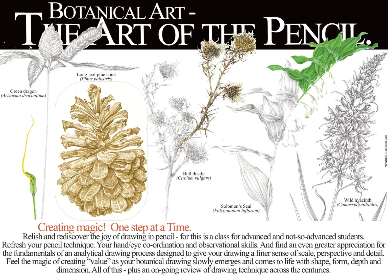Botanical Art #2: The Art of Colored Pencil - Mobile Botanical Gardens