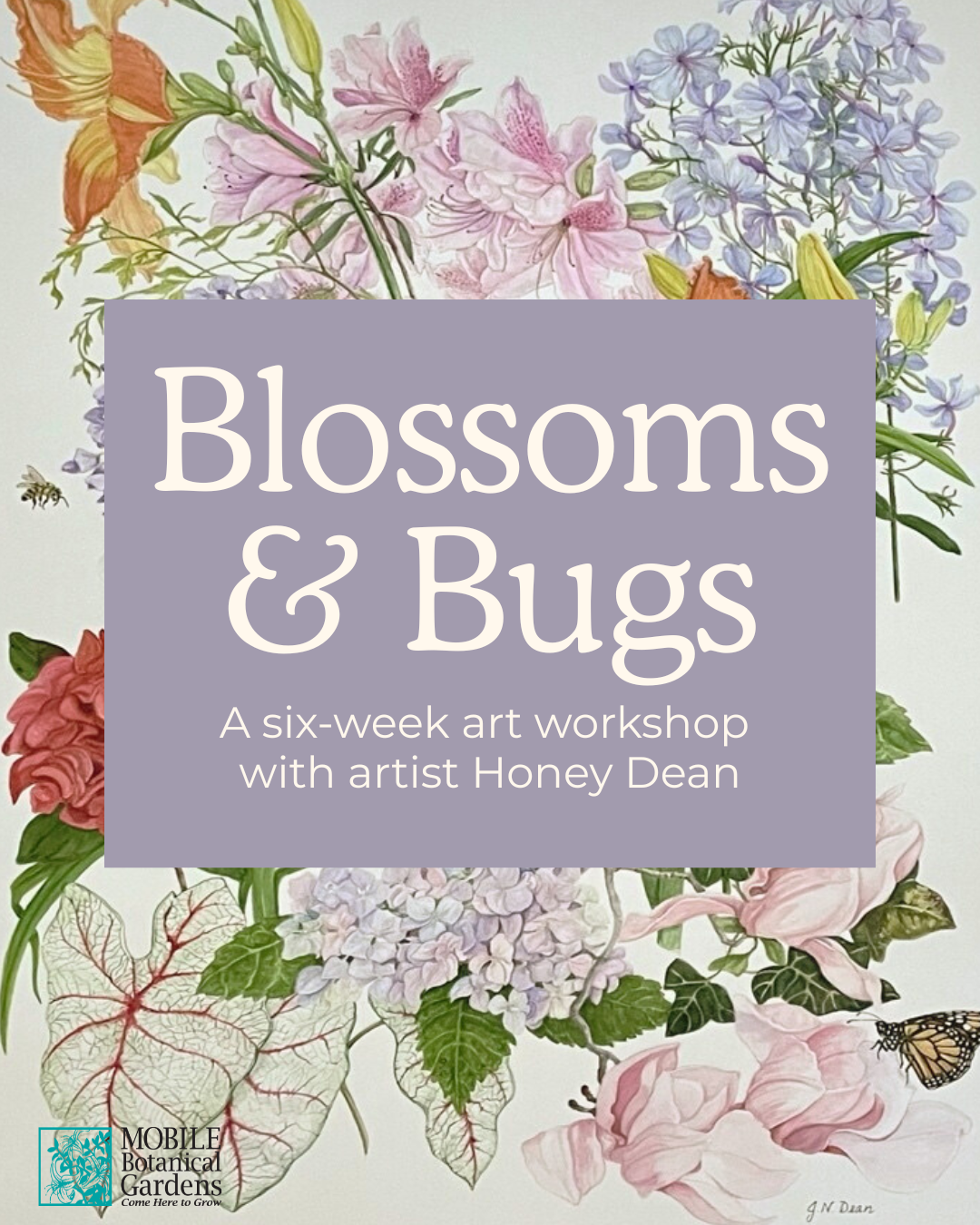 Blossoms & Bugs: A 6-Week Art Workshop with Artist Honey Dean - Mobile ...