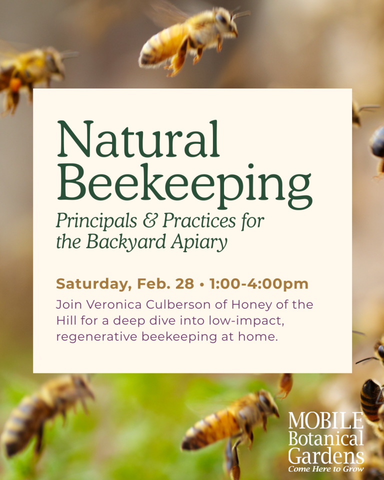 Natural Beekeeping: Principals & Practices for the Backyard Apiary ...